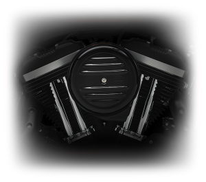 CARACTERISTICAS IRON 883™ – Harley-Davidson Toluca